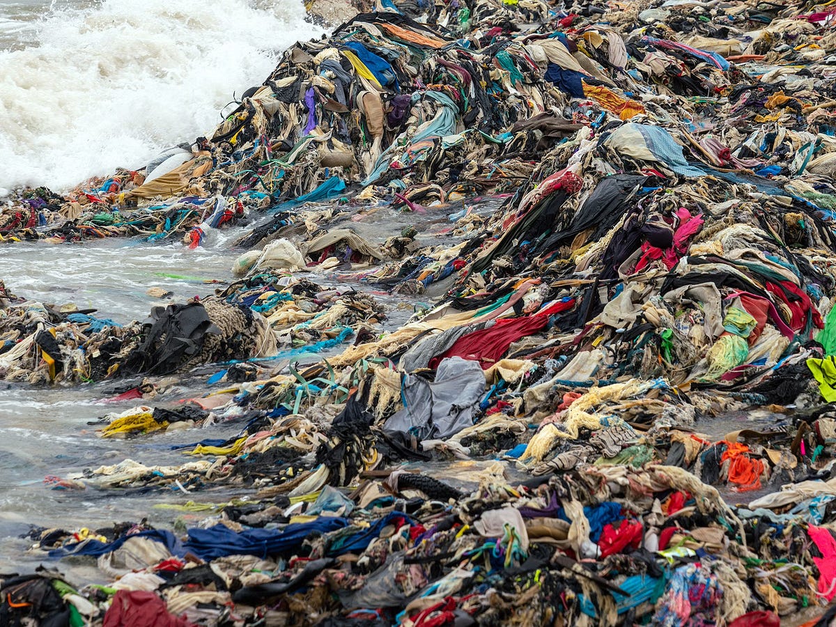 The New Sword of Bio-Recycling?. Bio-recycling, decomposing organic ...