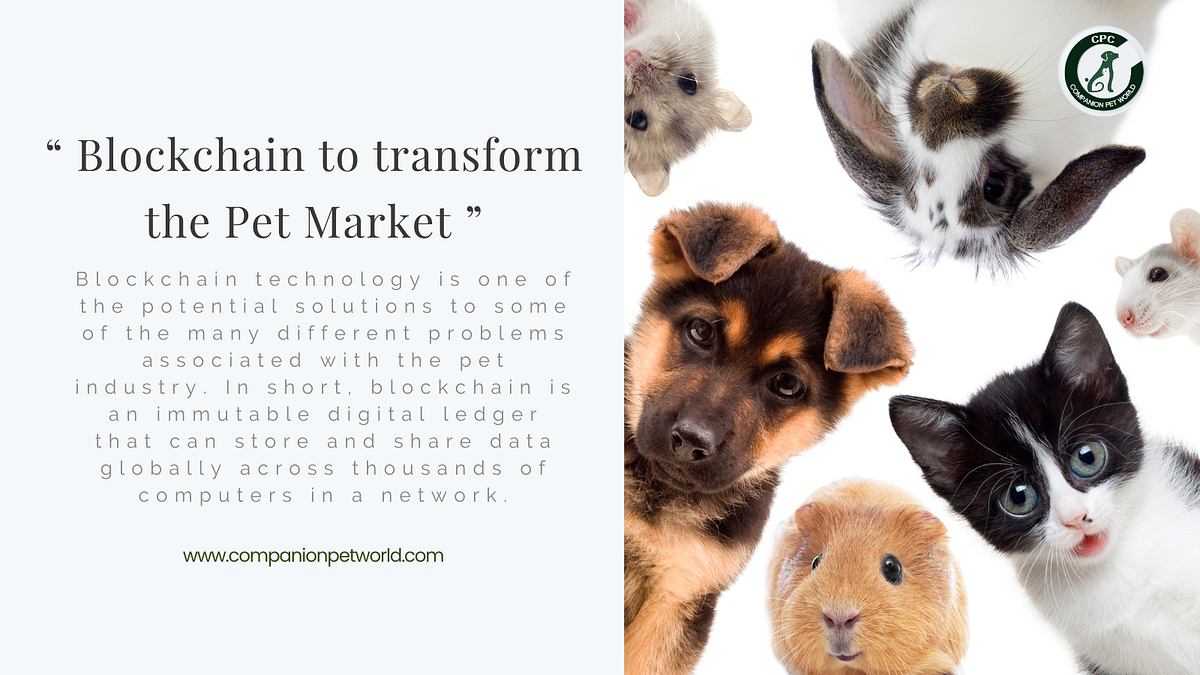 Blockchain to transform the Pet Market - Companion Pet World - Medium
