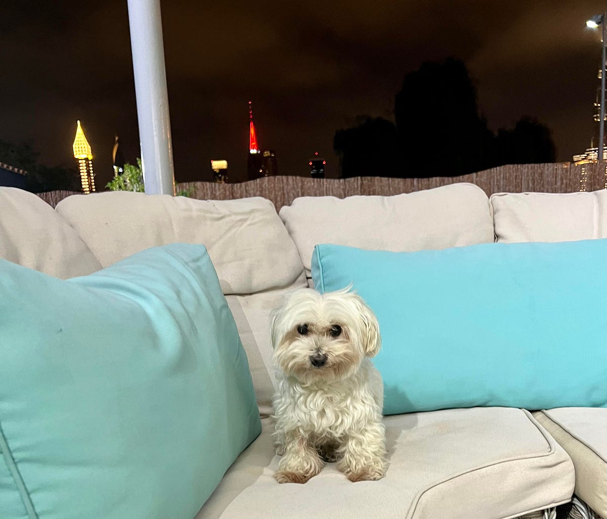 Hardest Lesson — Update on Cuddles | by Ria Sodhi | Medium