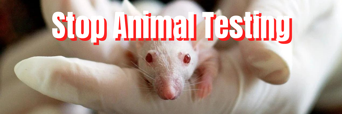 Stop Animal Experimentation. “ Over 100 million animals are burned ...