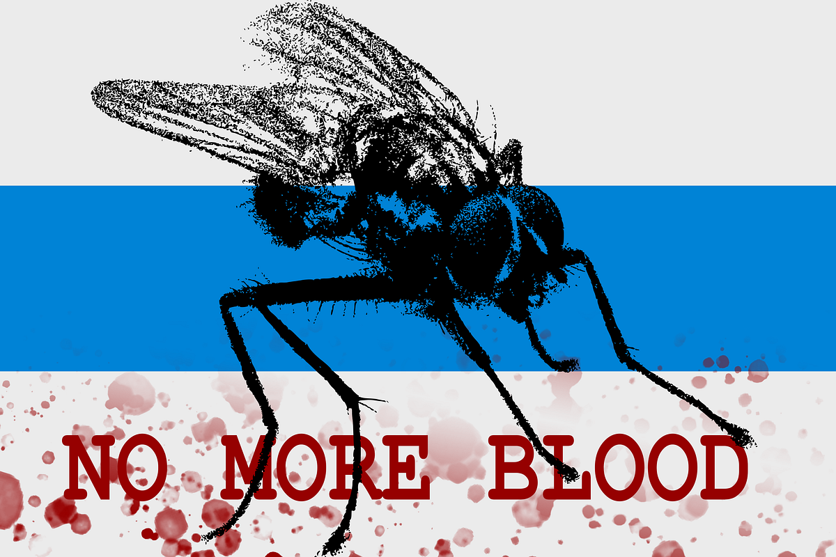 Intro. “Accidental fly in the mouth of the… | by Accidental Fly | Medium