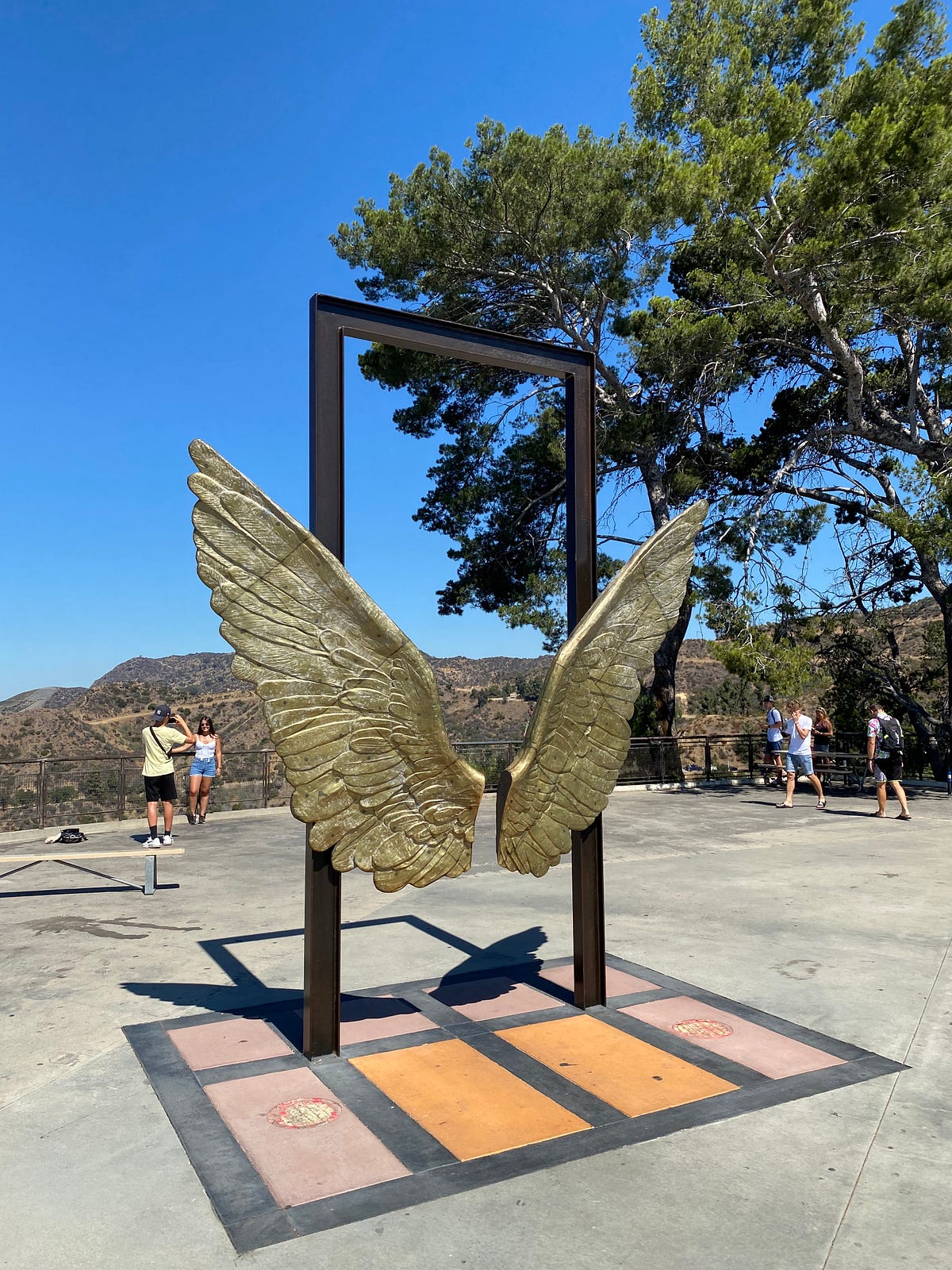 Waiting for the Urn — Day Two. Coping with the loss of my cat. | by Lynelle White | Medium