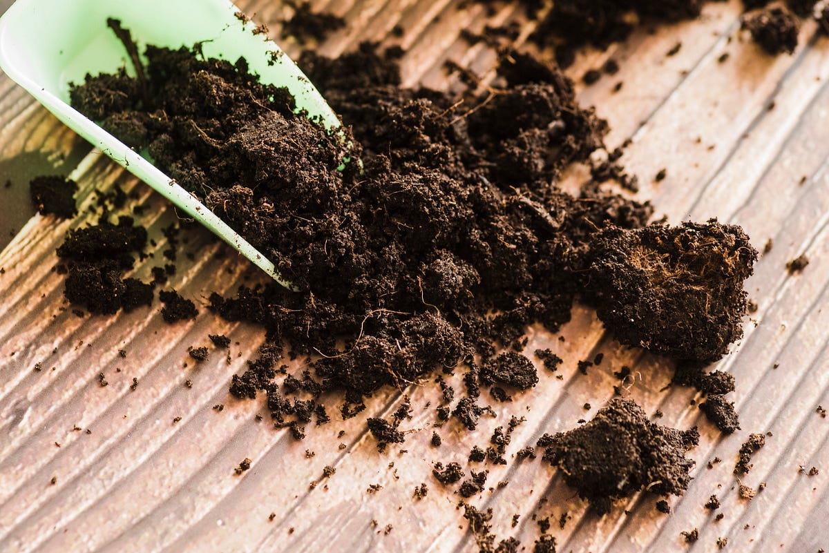 Best methods to apply fertilizer to your lawns. | by Rancanfertilizer ...