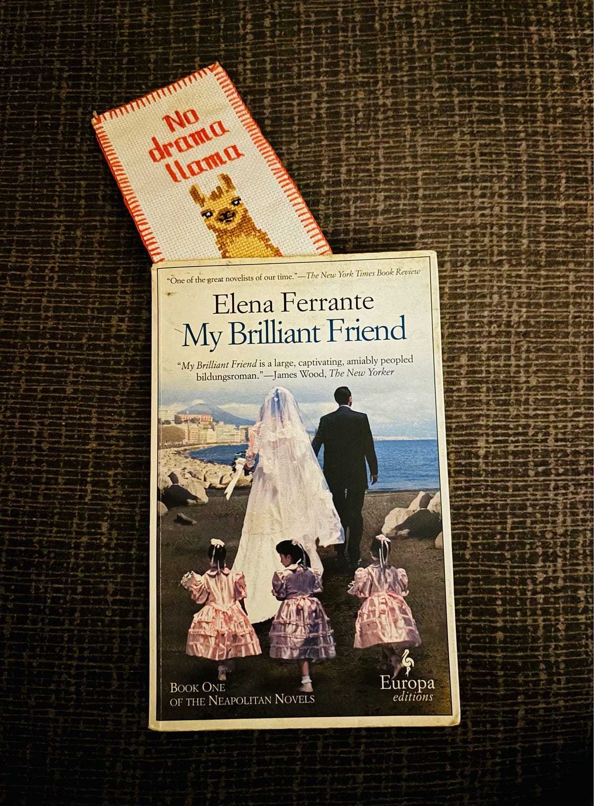 My Brilliant Friend. By Elena Ferrante | by Mallika Menon | Oct, 2024 | Medium