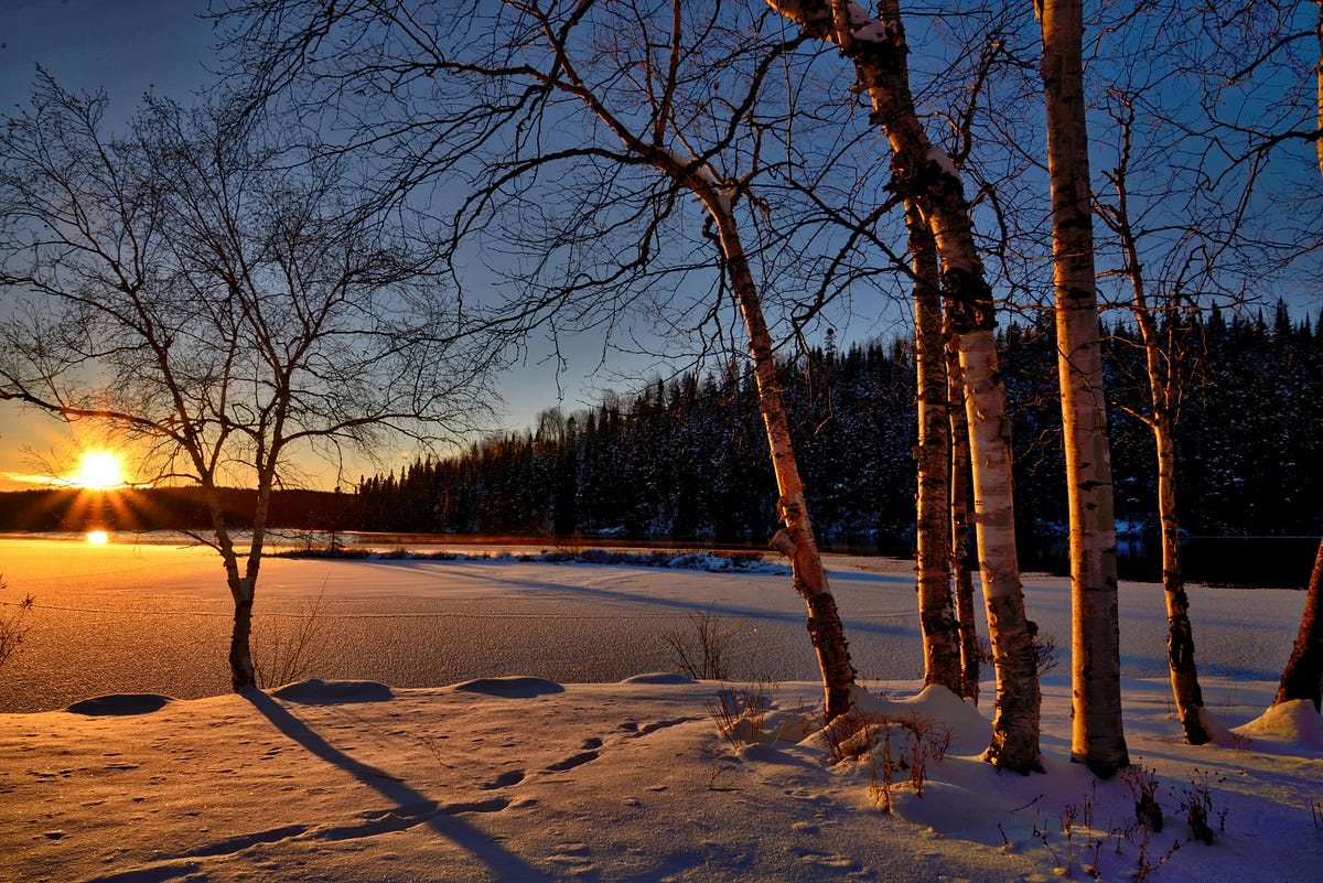 Winter: A Time to Slow Down, Rest, and Relax | by Tom Wheeler | Medium