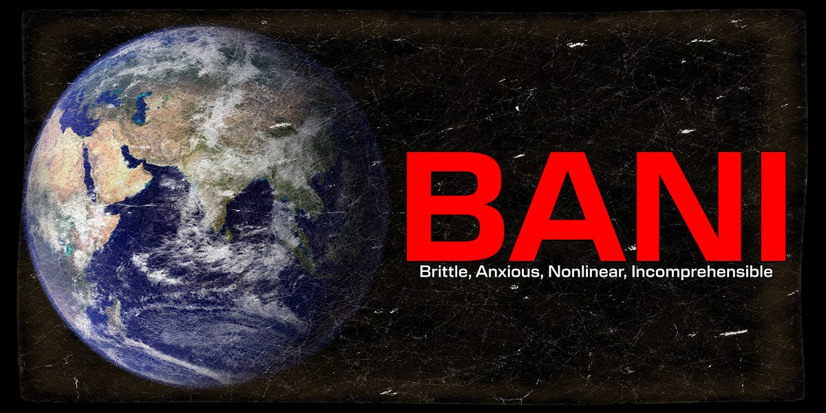 BANI 2025 — an Overview. In 2018, I created BANI, an acronym… | by ...
