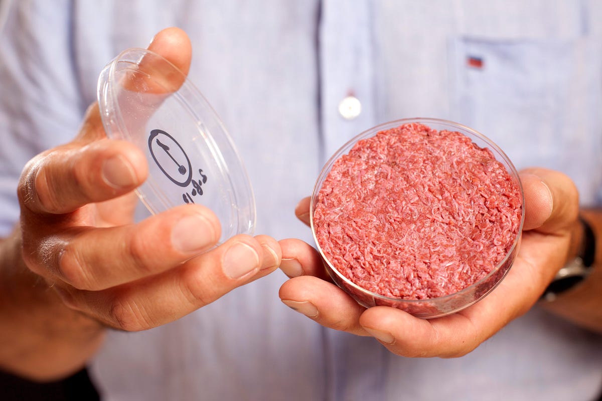 The challenges and prospects of societal acceptance of lab-grown meat ...
