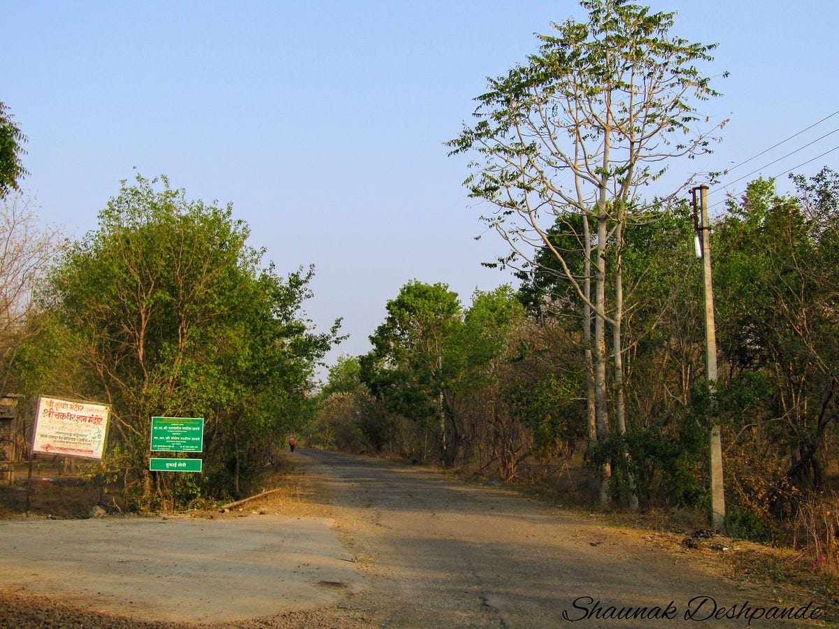 The First Flight: Echoes of Avian Wonders in Bhokardan! | by Shaunak ...