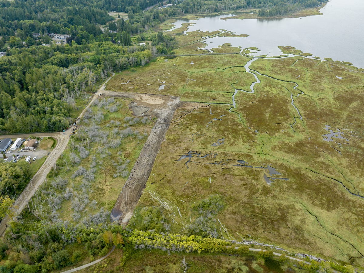 Union River Estuary Restoration Project reconnects nature and people ...