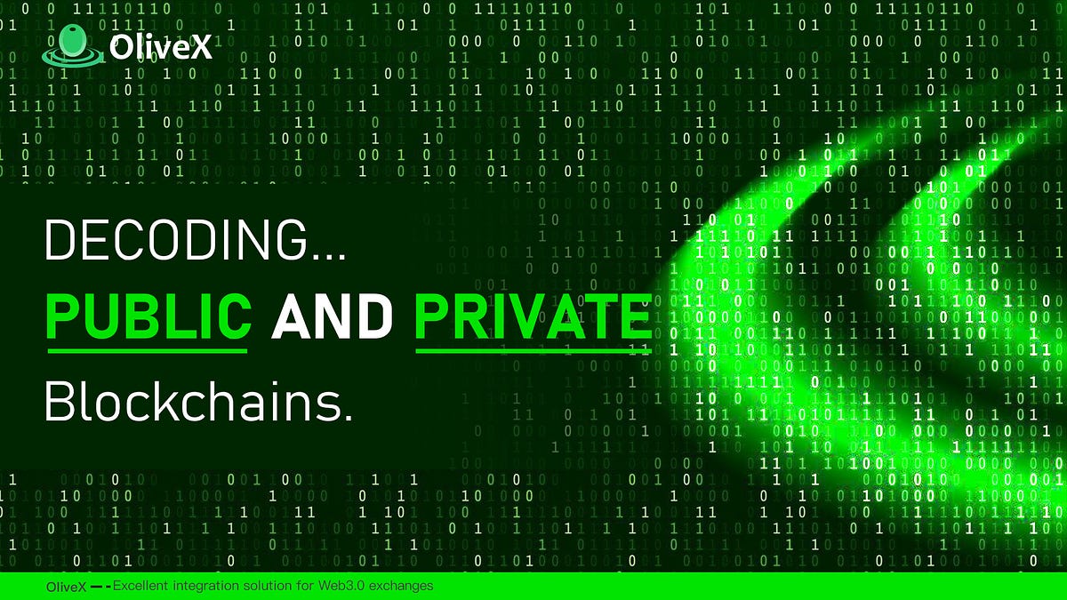 Decoding Public And Private Blockchains Unveiling The Differences By
