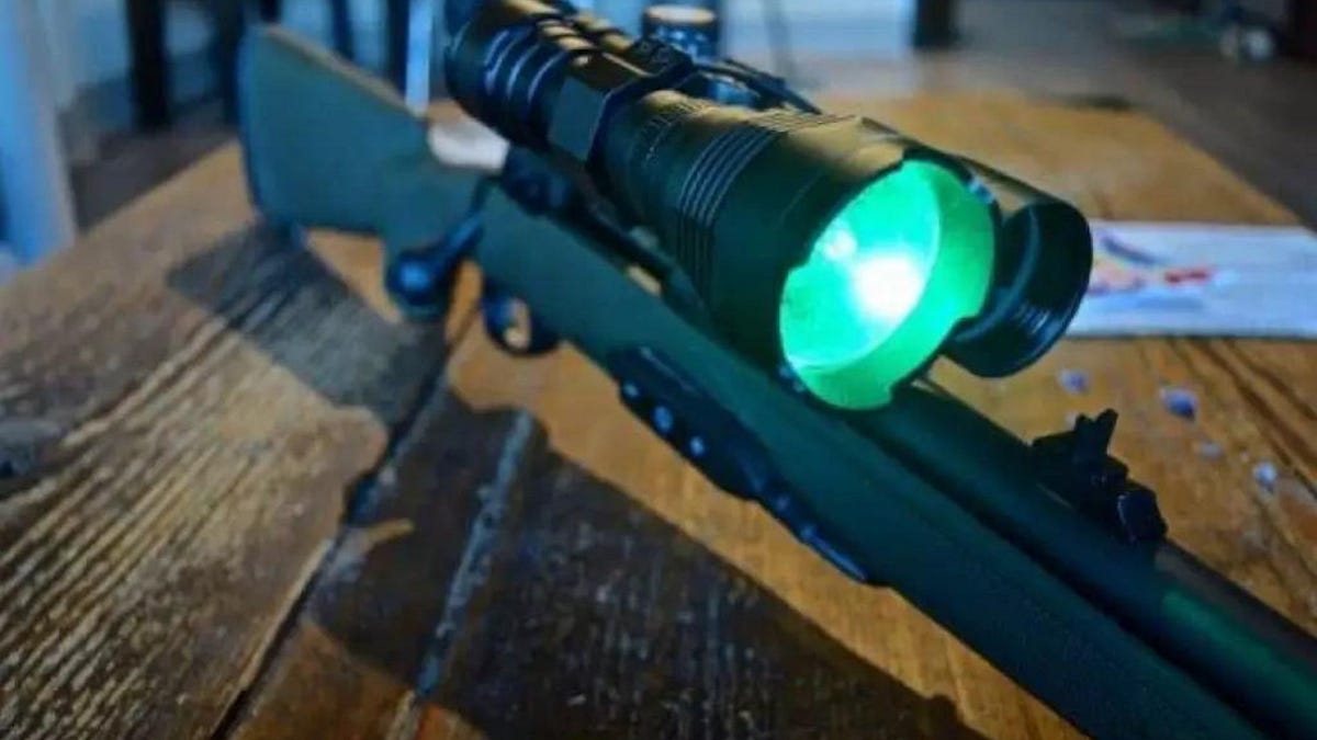 Navigating Hunting Light Regulations: What You Need to Know | by ...