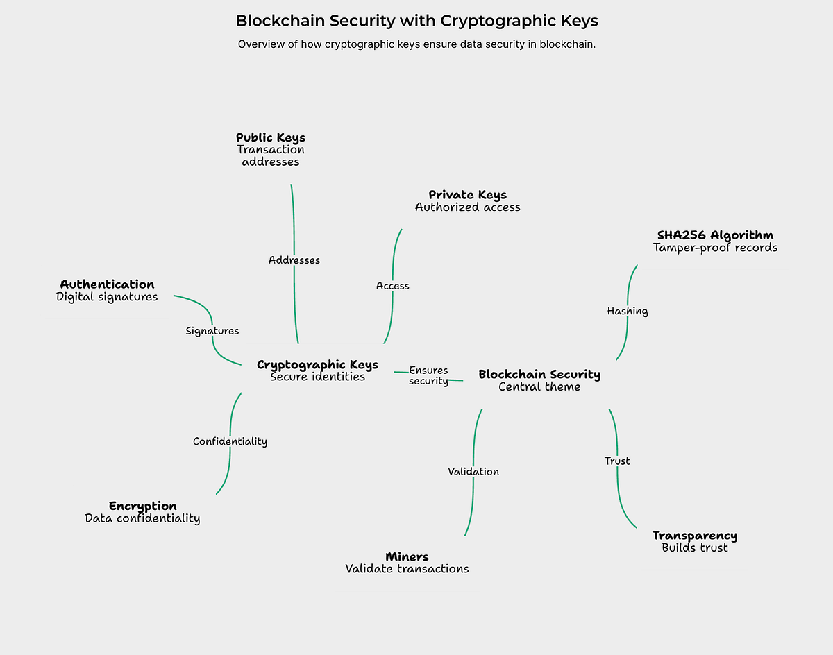 How Public and Private Keys in Blockchain Technology Ensure Data ...