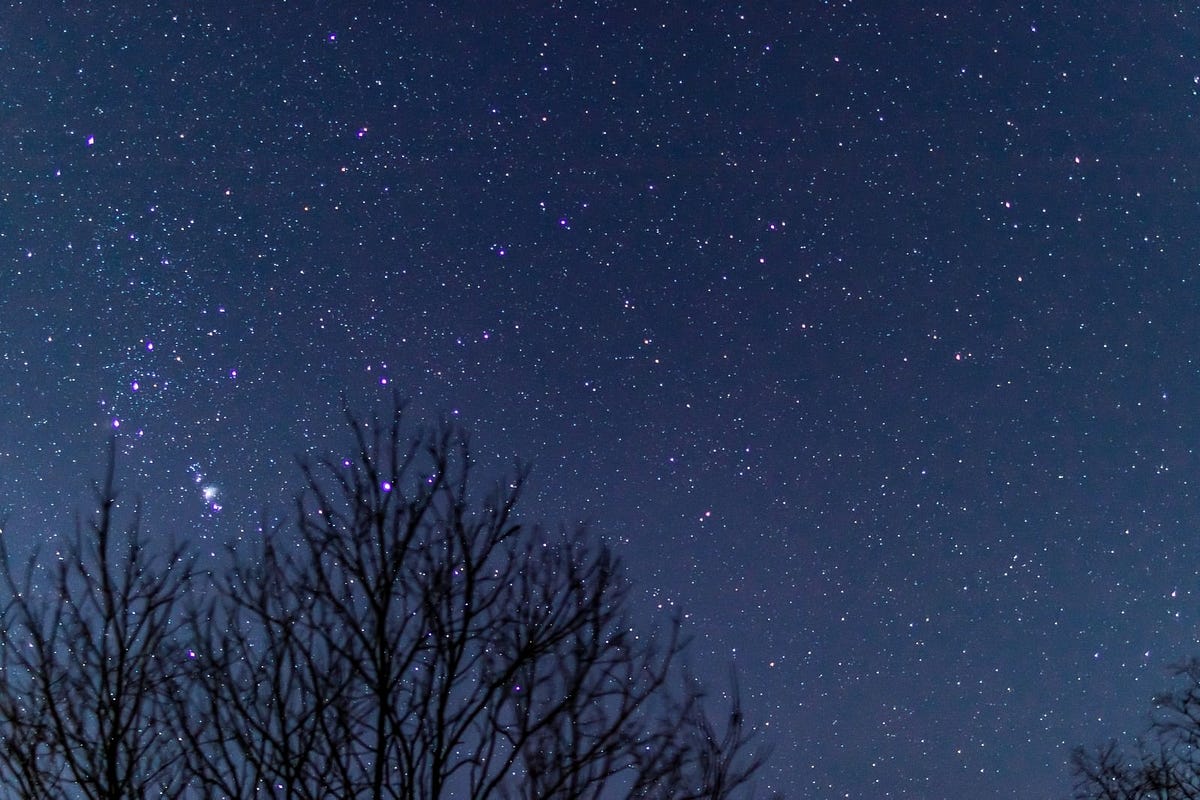 Winter Stars, Wire Shadows. A haiku about how early winter light… | by ...