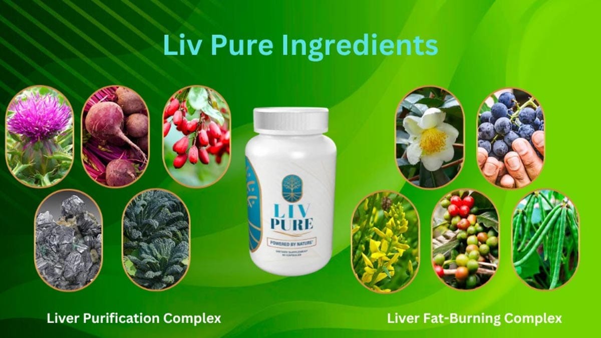 Unveiling the Elixir of Wellness: A Comprehensive Review of Liv Pure ...