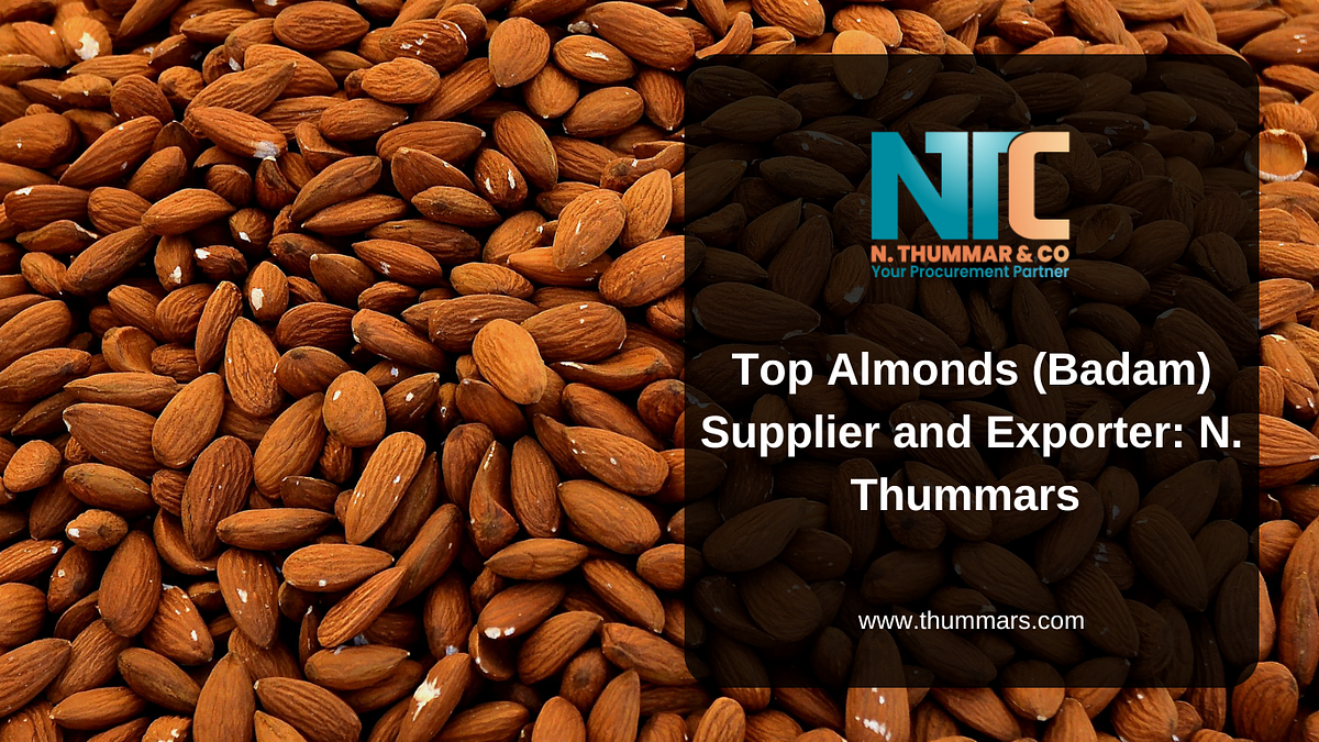 Top Almonds (Badam) Supplier and Exporter: N. Thummars | by Thummars ...