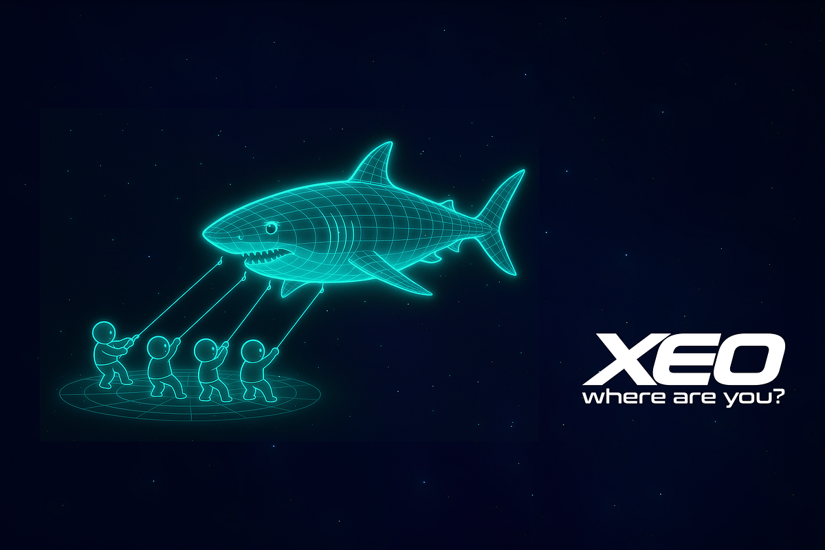 How Early VC Funding Destroys Token Economies — And Why XEO Refuses to ...