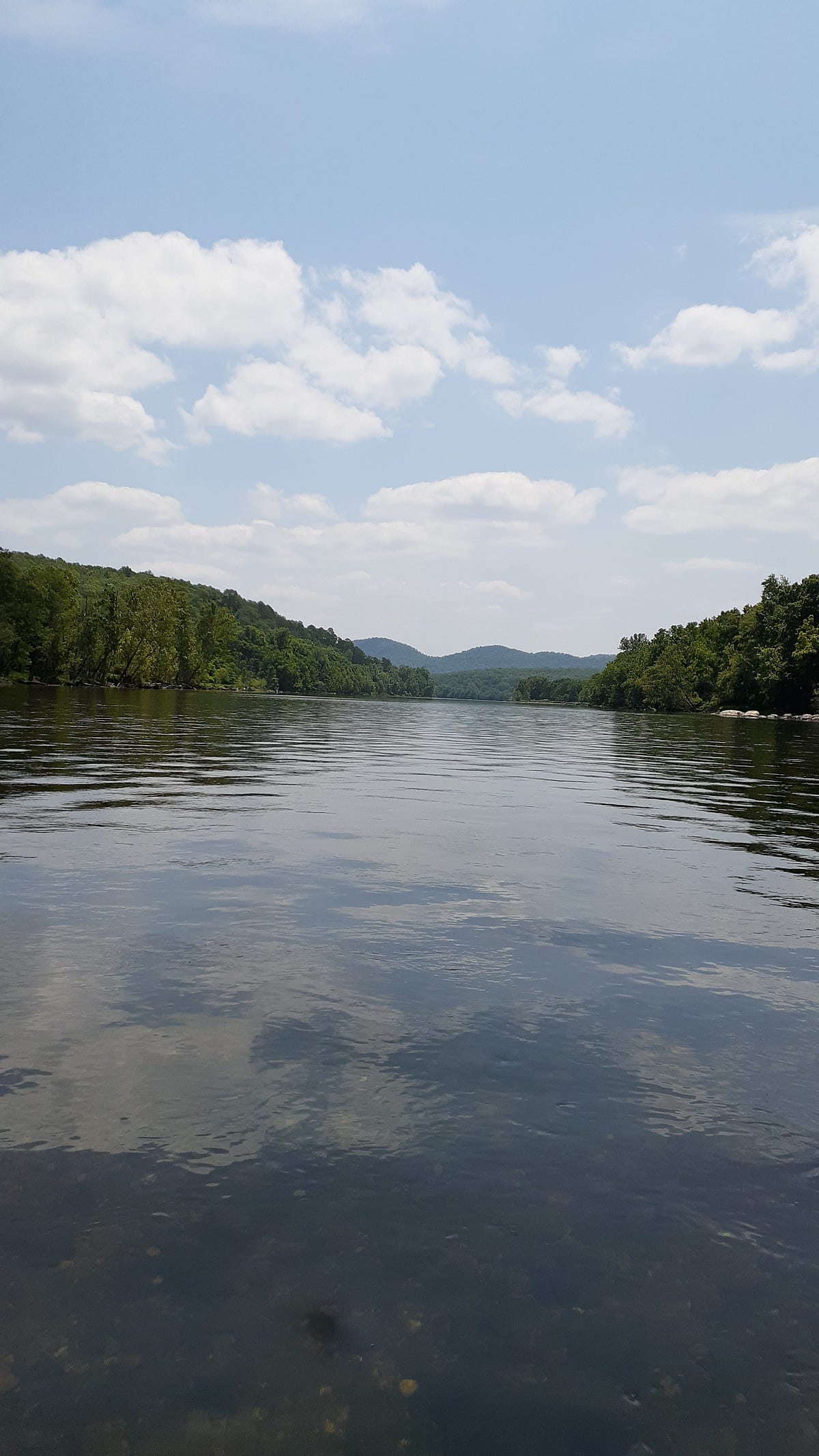 Floating the White River in Arkansas | by Terry Goddard | Aug, 2023 ...