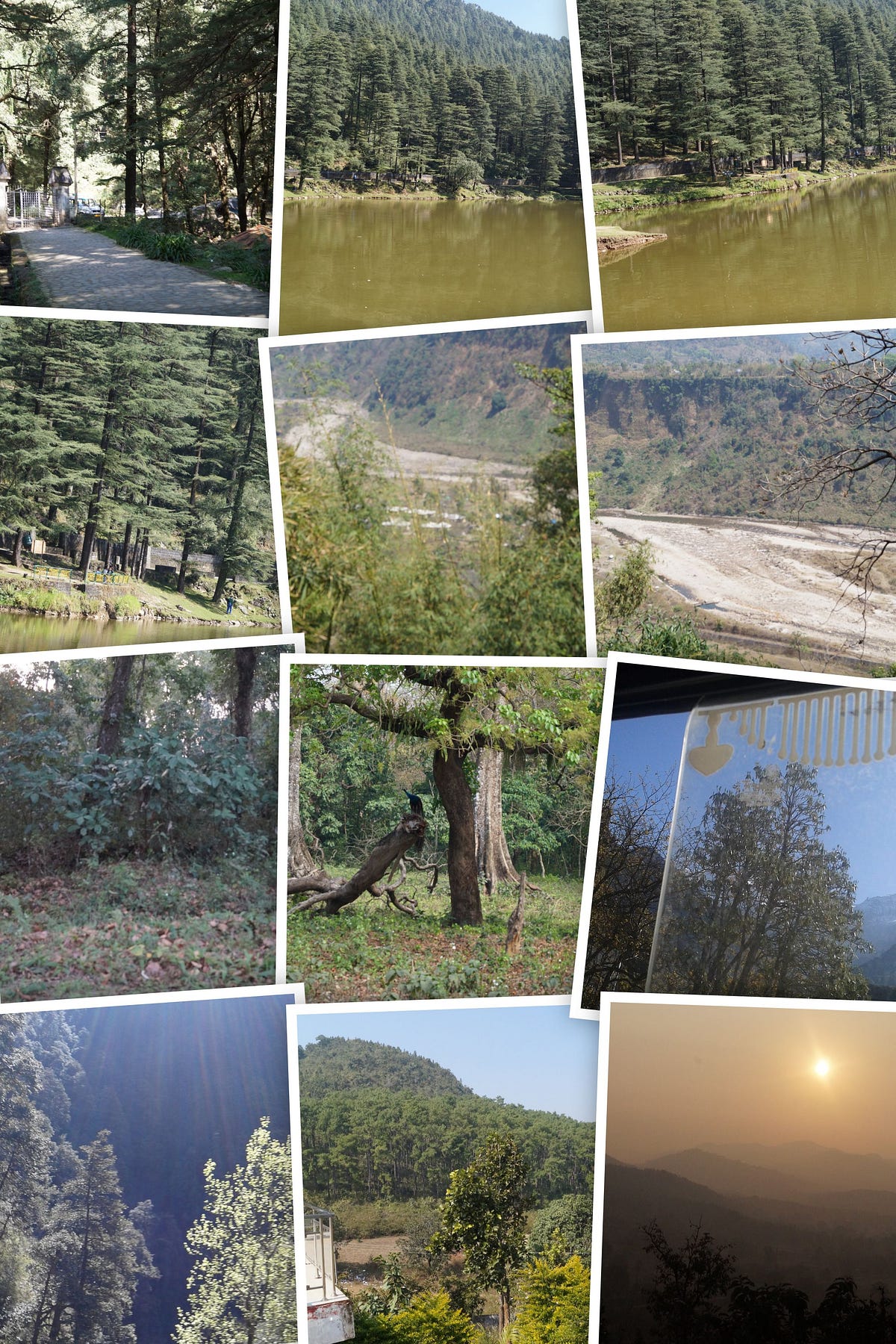 Environmental Science is natural science whereas Environmental Studies ...