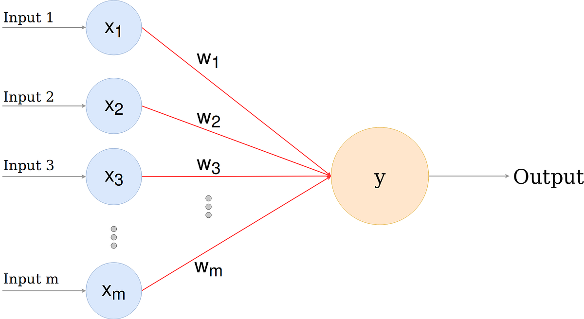 The Perceptron. The Perceptron was first proposed by… | by Arc | TDS ...