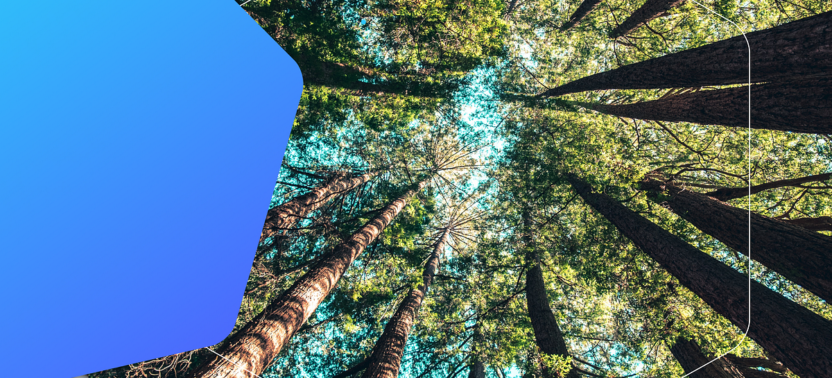 What Green Coding Is and Why It Matters in Modern Software Development ...