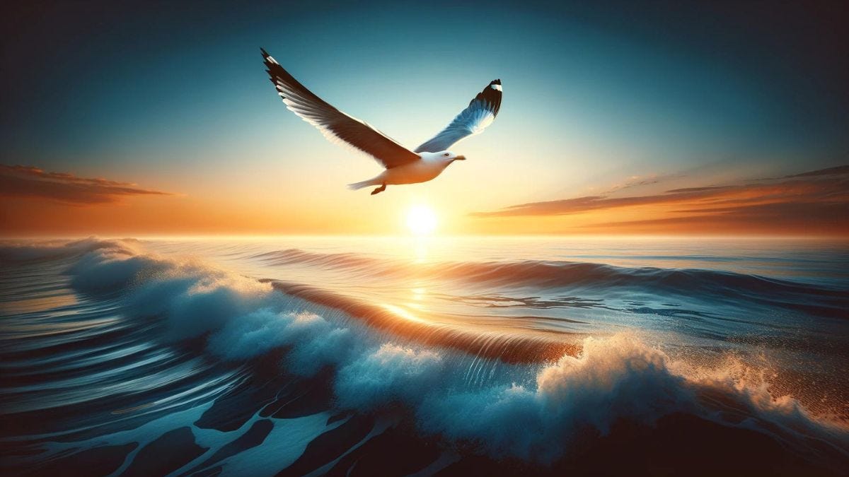 The Timeless Flight of Self-Discovery: Jonathan Livingston Seagull | by ...