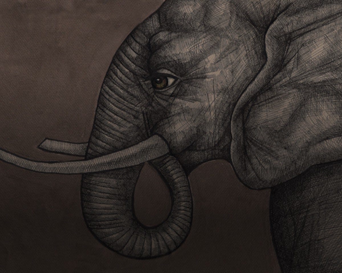 Ambiguity. Loving the elephant in the room | by Ming | Medium