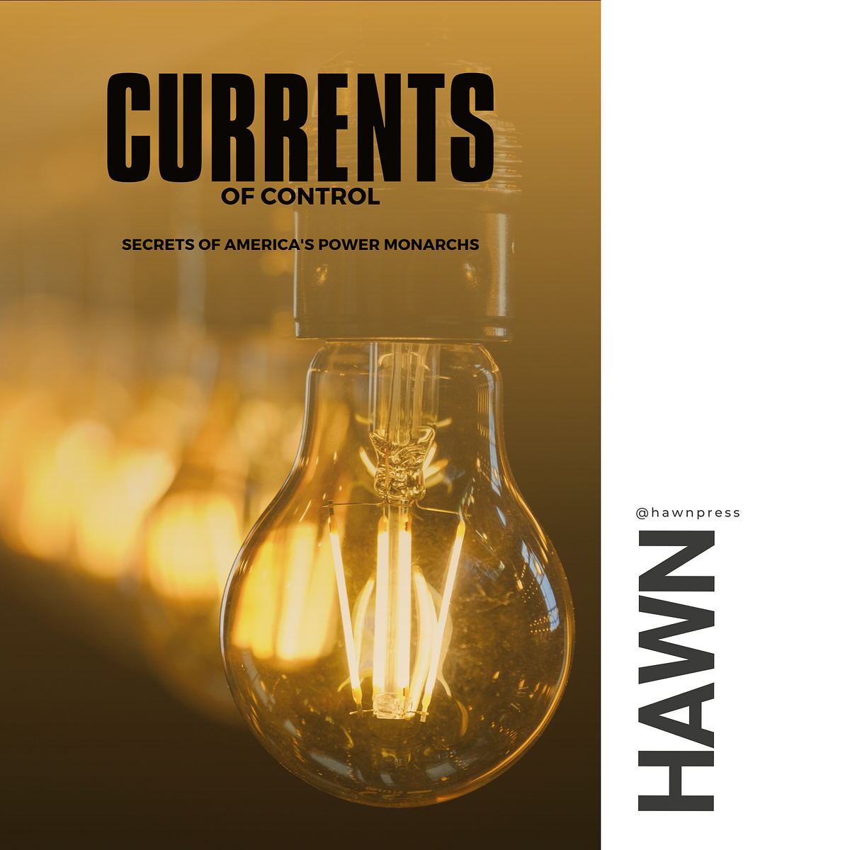 Currents of Control: Secrets of America’s Power Monarchs | by Hawn ...