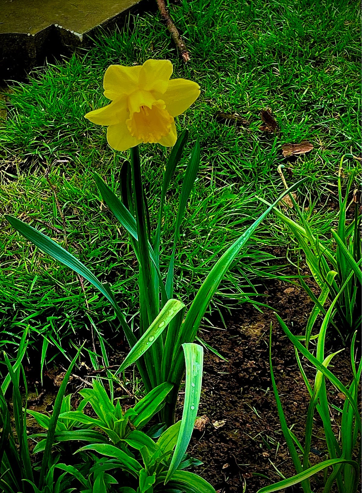 The Moment I Forgot Myself. A day in the mind of a human | by Yomer ...