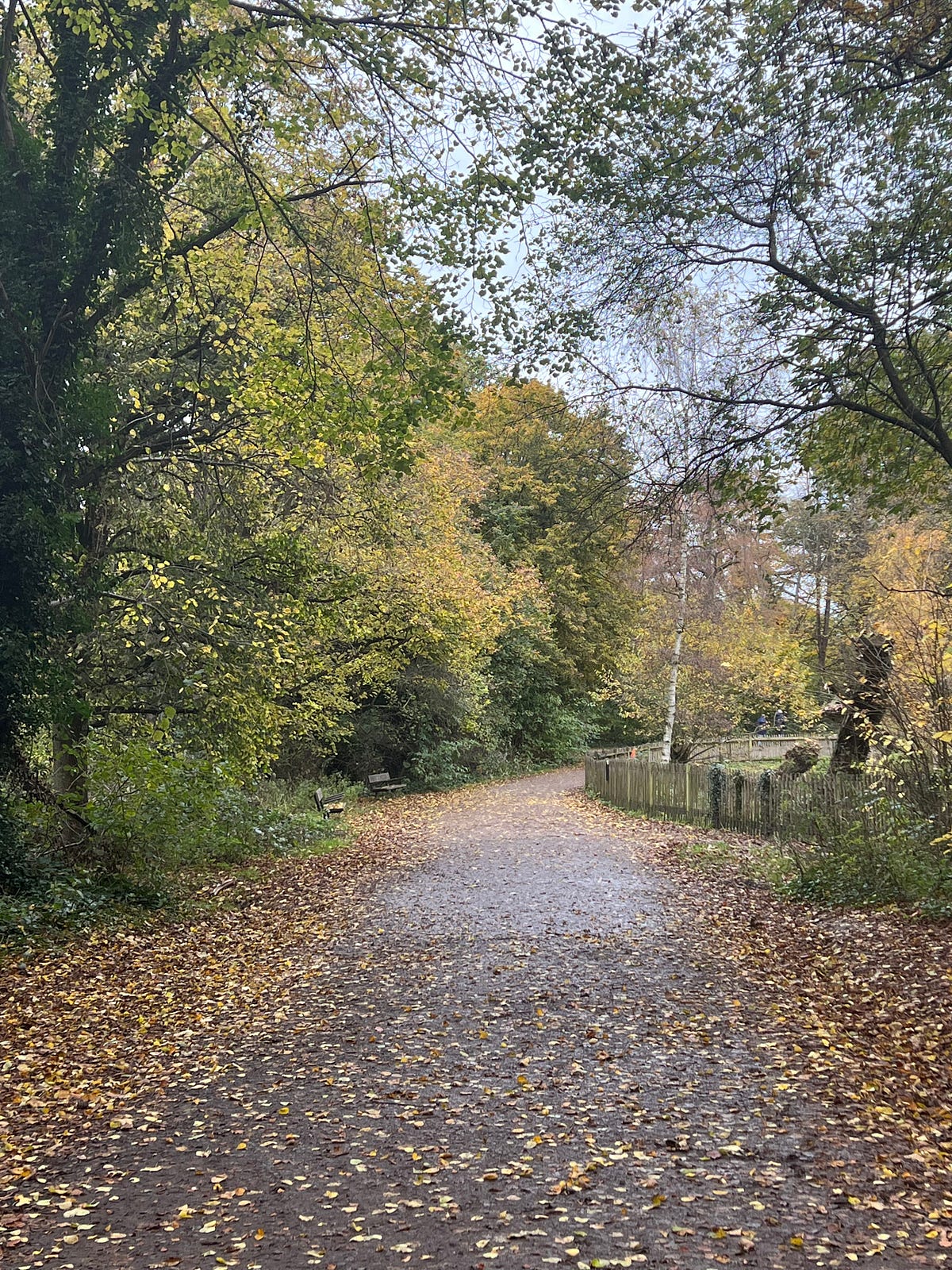 November 2021 part 1. A week with some ups and downs… | by Cate ...