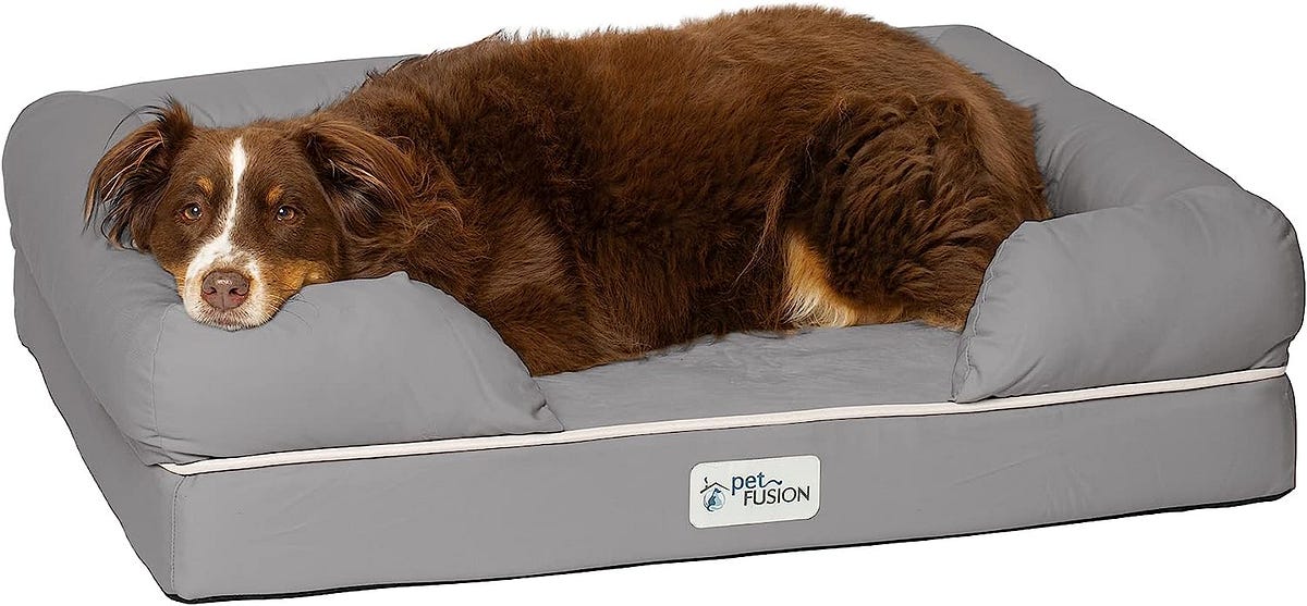 “Choosing the Perfect Dog Bed for Your Beloved Pet | by ...