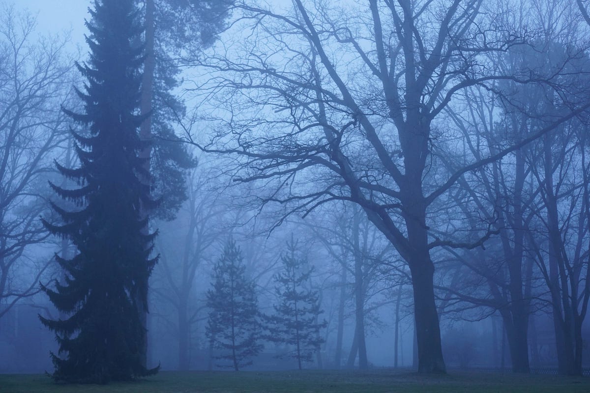 The Perfect Lament Woman. I would make a perfect lament woman… | by ...