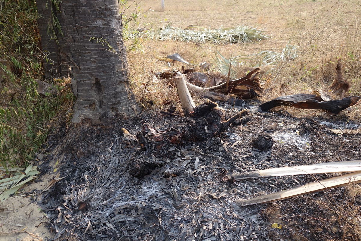 The burnt dog. First came the smell Bikes stopped In… | by Jamesh D ...