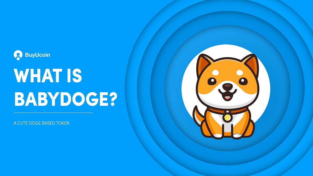What Is Baby DOGE Coin? How to buy Baby Doge Coins in India? | by ...