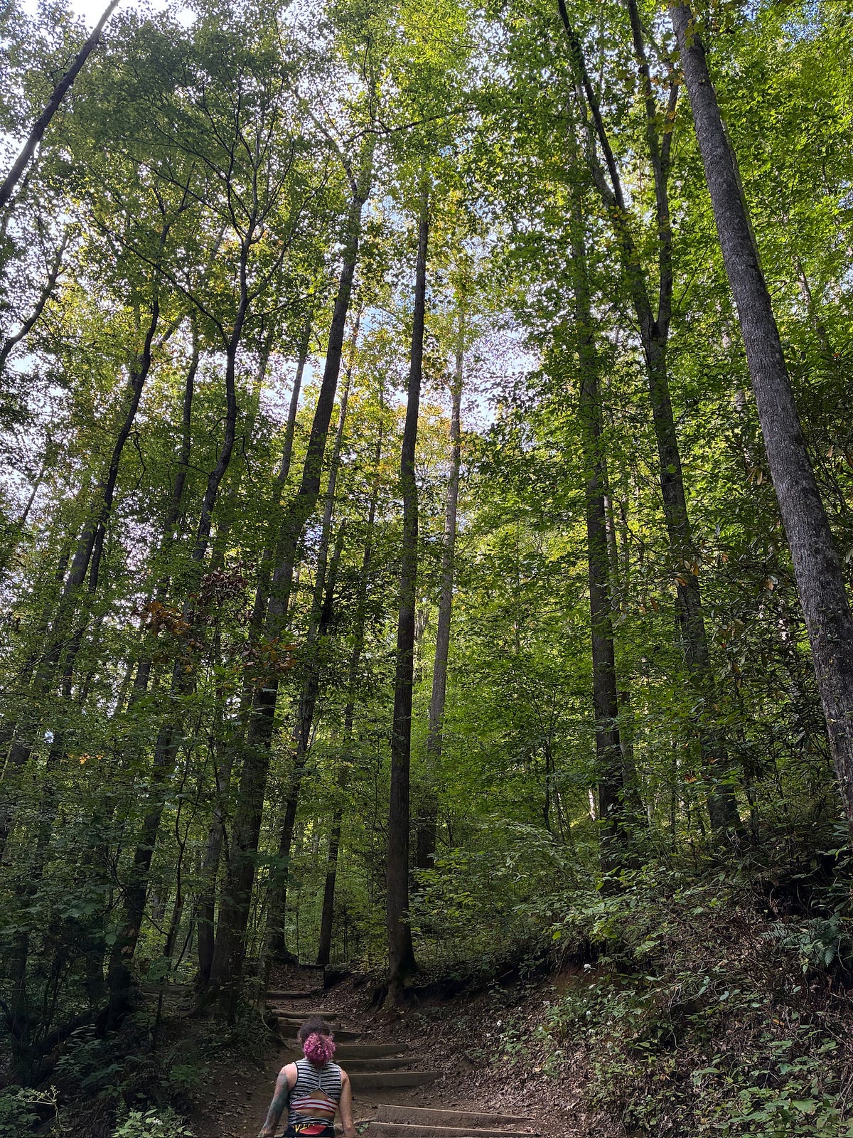 Like Mile 80 | by Holly Scala | Medium