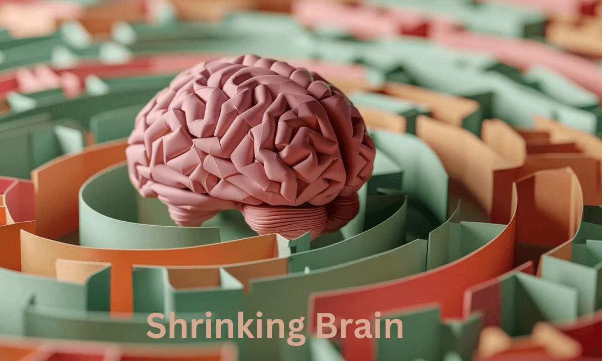 Shrinking Brain: These 5 Idiotic Daily Practices Cause Brain Atrophy ...