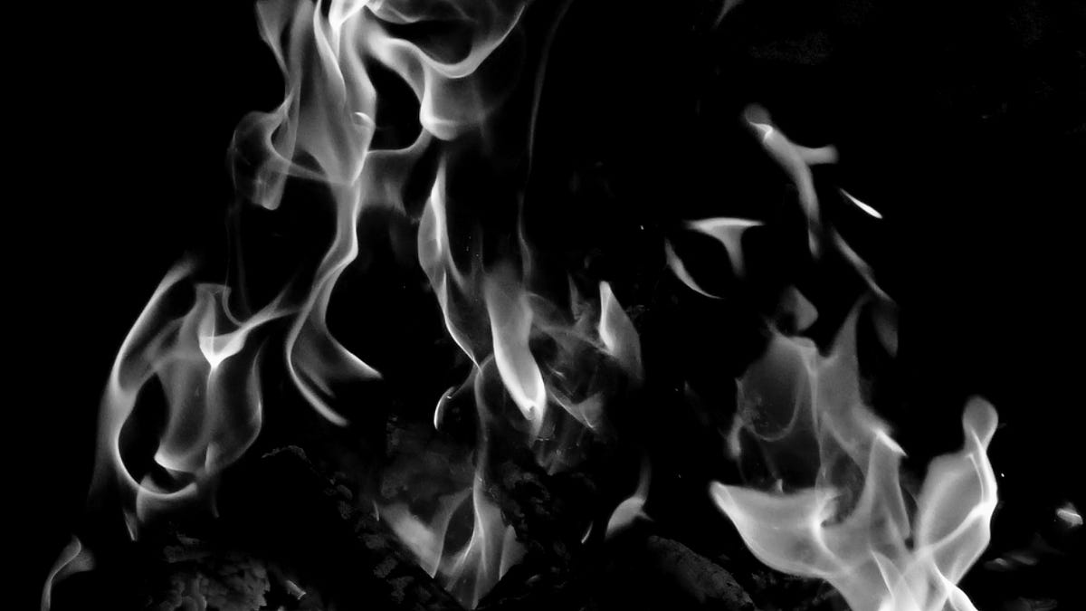 the docent (I set my soul alight) | by Rob Bowen | Medium