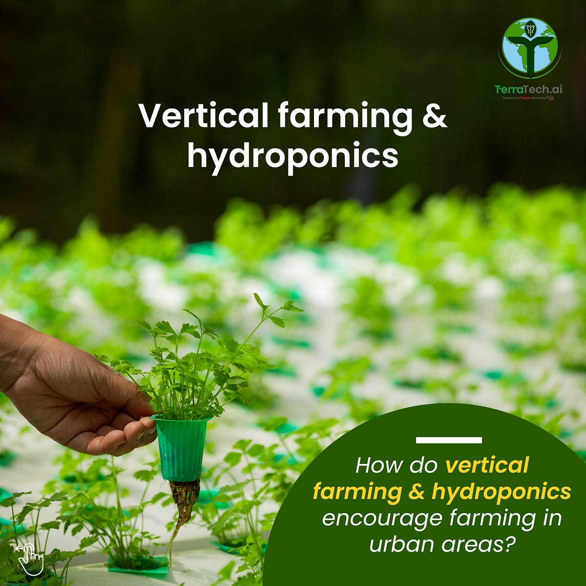 Exploring the Advantages and Potential of Vertical Farming | by Agri ...
