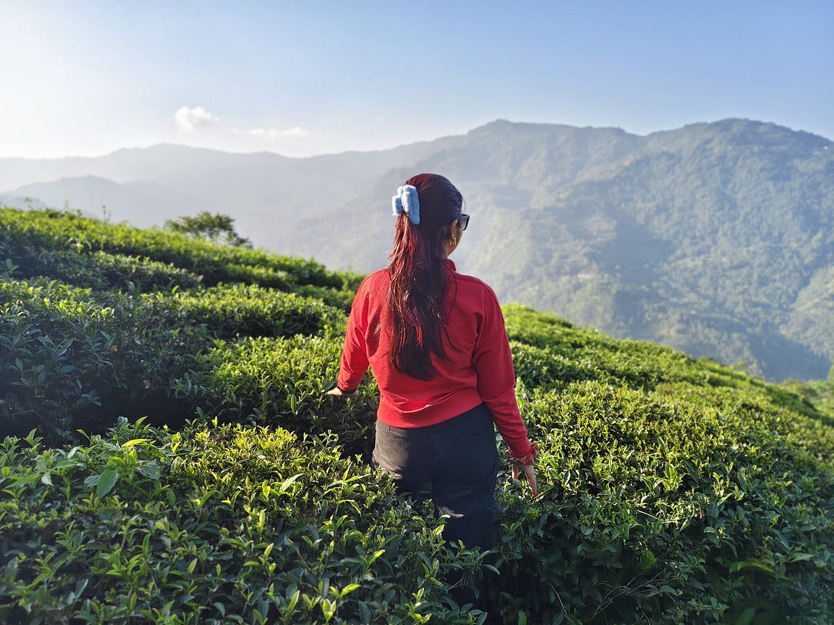 The Mountains Told Me To Shut Up — And I Did | by Adrita Saha | Intersectionality | Nov, 2025 ...