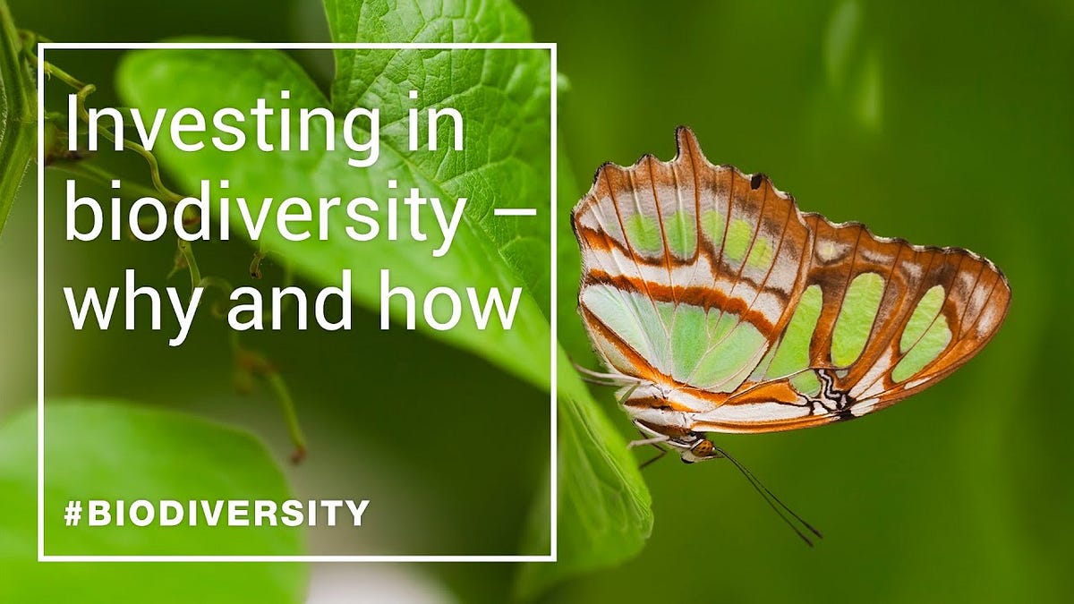 Investing in Biodiversity and Agrobiodiversity: Unleashing the Power of ...