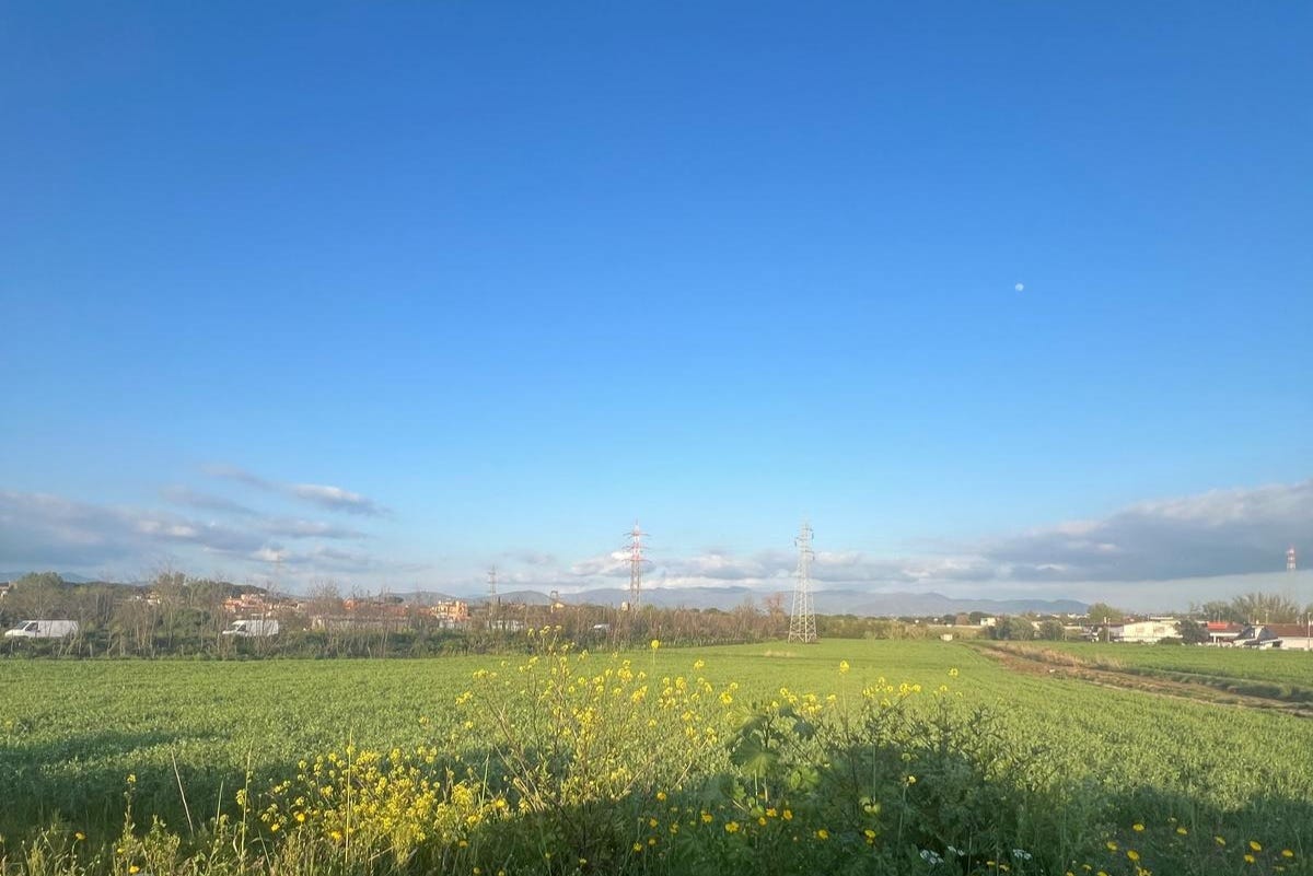 The beauty of nature in springtime. Springtime is gentle and beautiful ...