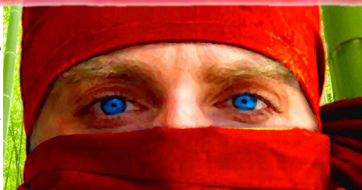 Jay Horne’s Ninjutsu at Forty. Body, mind, and spirit, plus… Be nice ...