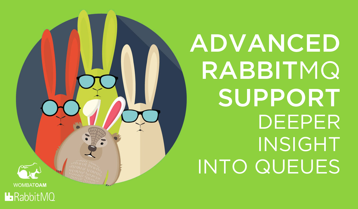 Advanced RabbitMQ Support Part II: Deeper Insight into Queues | by ...