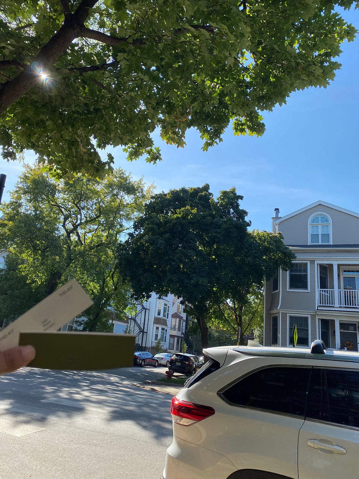 A girl and her two paint chips in Lake View | by Neomi Gooch | walking ...