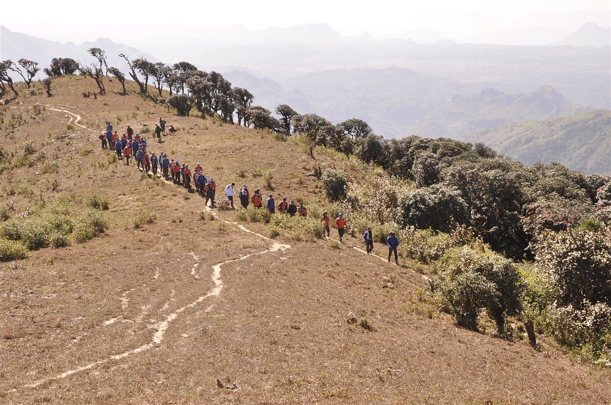 Hiking my first mountain. I signed up because I thought it would… | by ...