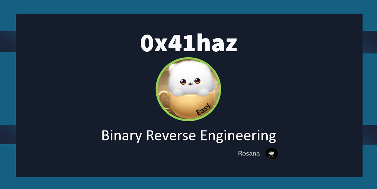Binary Reverse Engineering - 0x41haz : TryHackMe Walkthrough - 30 points | by RosanaFSS | Mar ...