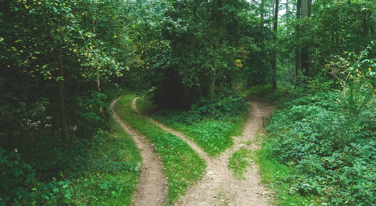 How Fear Shapes Our Decisions. Fear hijacks the brain, affecting… | by ...