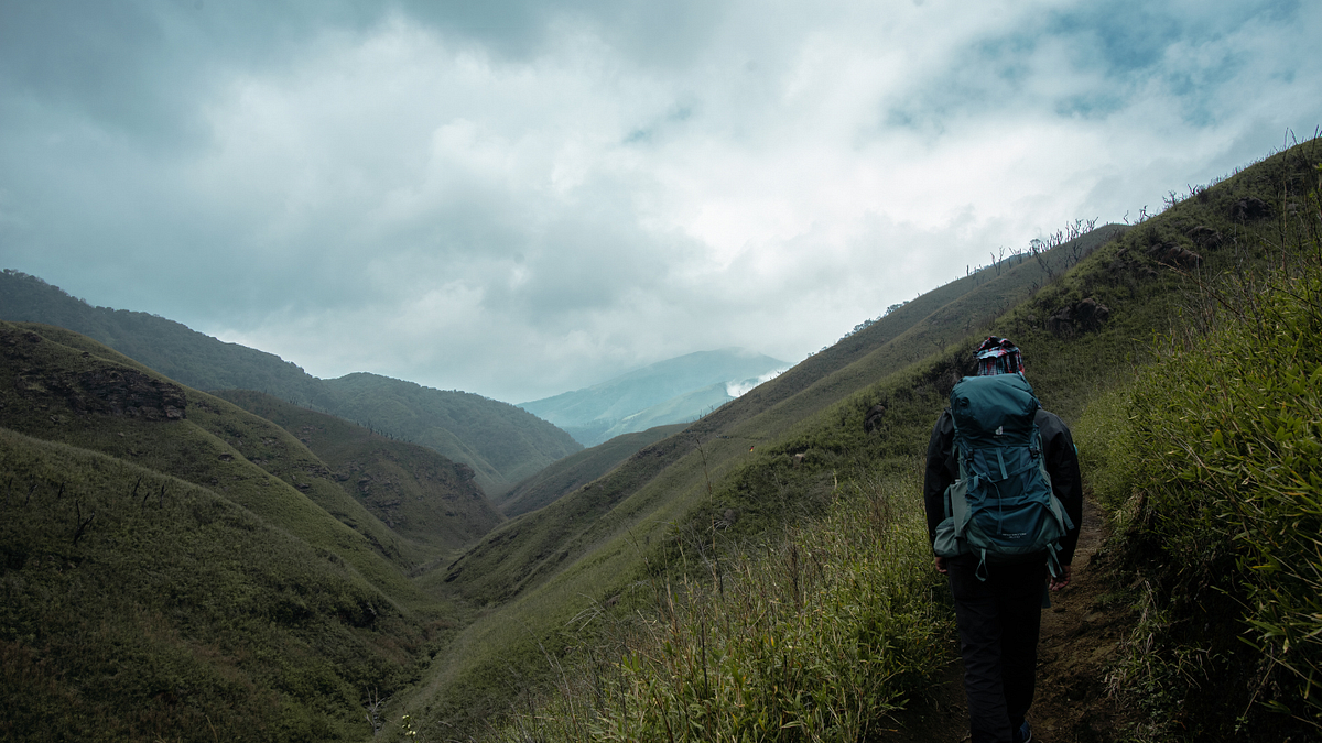 Discovering the Hidden Gem: Dzukou Valley | by Ashique | Medium