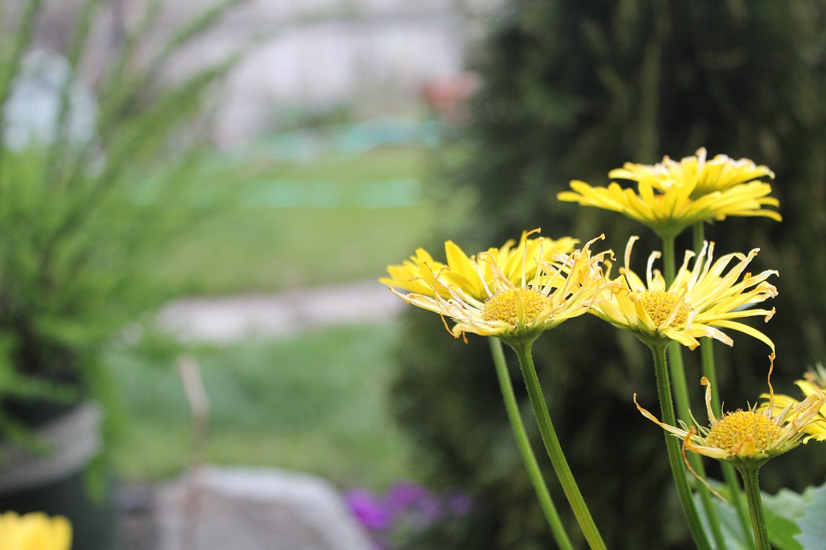 Composition is fun. Rule of thirds | by Mary Hoerner | Medium