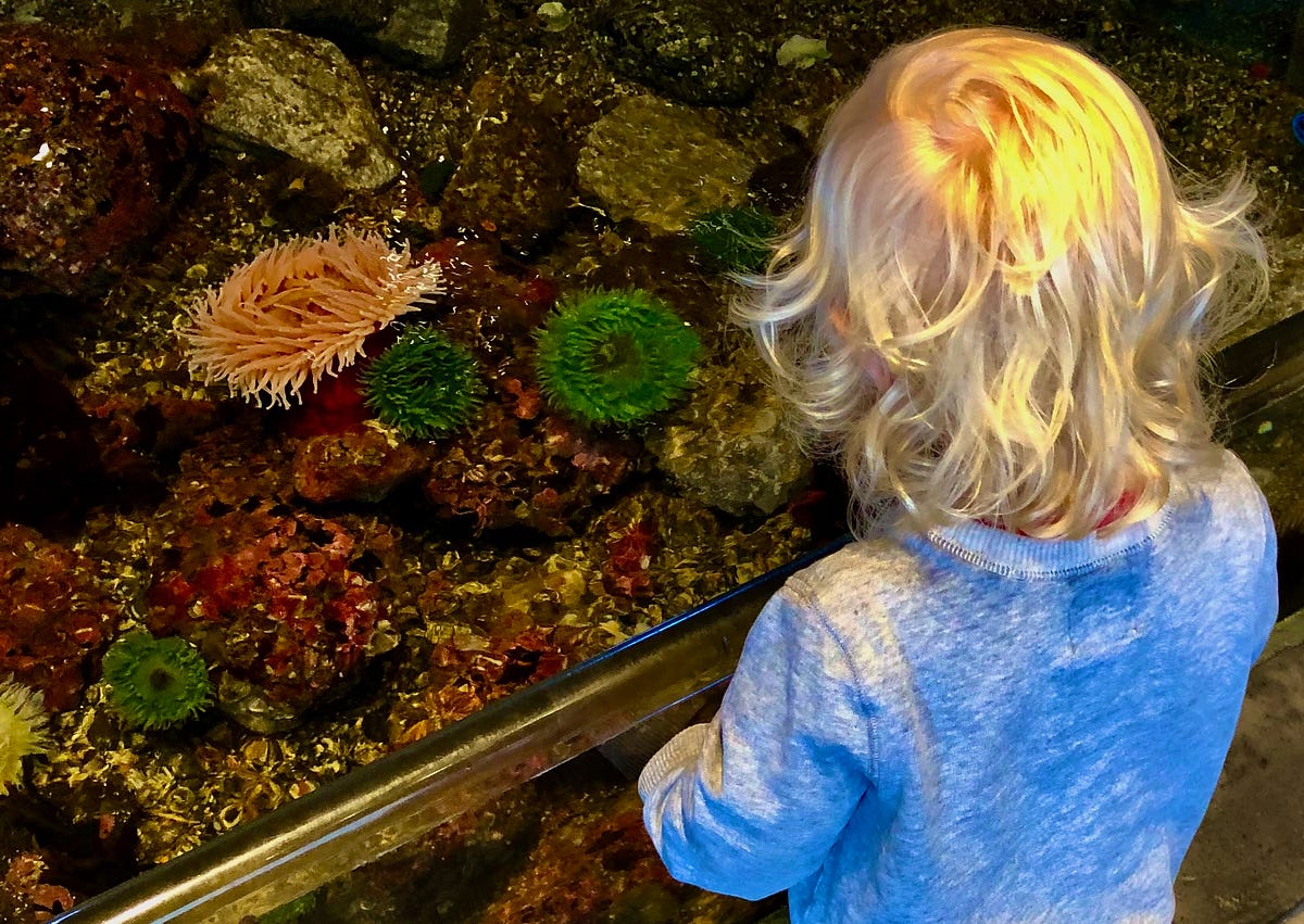 Crow’s Feet Writing Prompt. Writing Prompt #12 The Best Aspects of ...