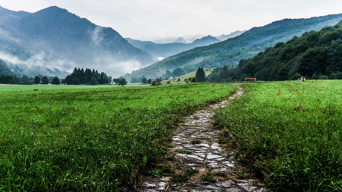 What Exactly is Your Shell PATH? | by Jalen Davenport | Medium | Medium